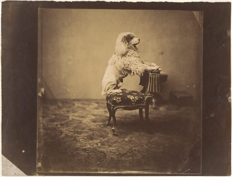 Rare old Photos Show how People Lived in the 1850s - The Vintage News