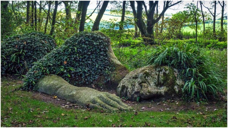 The Mystical Lost Gardens of Heligan - See the Wonder for Yourself ...