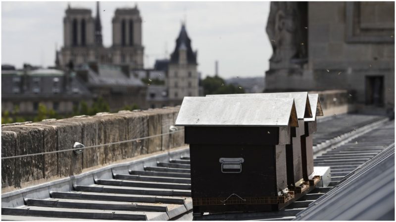 Stefan Andrews, Author at The Vintage News