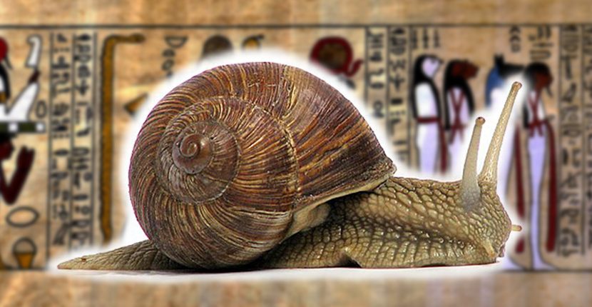 Male Menstruation in Egypt was Considered Normal but due to "Snail ...
