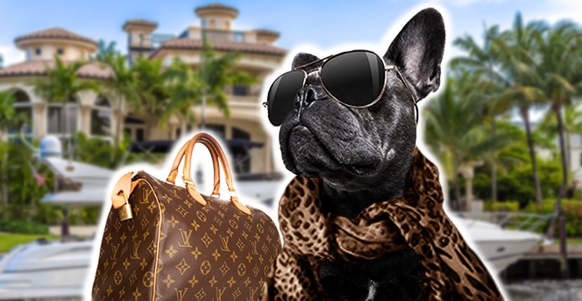 Lifestyles of the Rich and Furry - The 10 Wealthiest Pets in History
