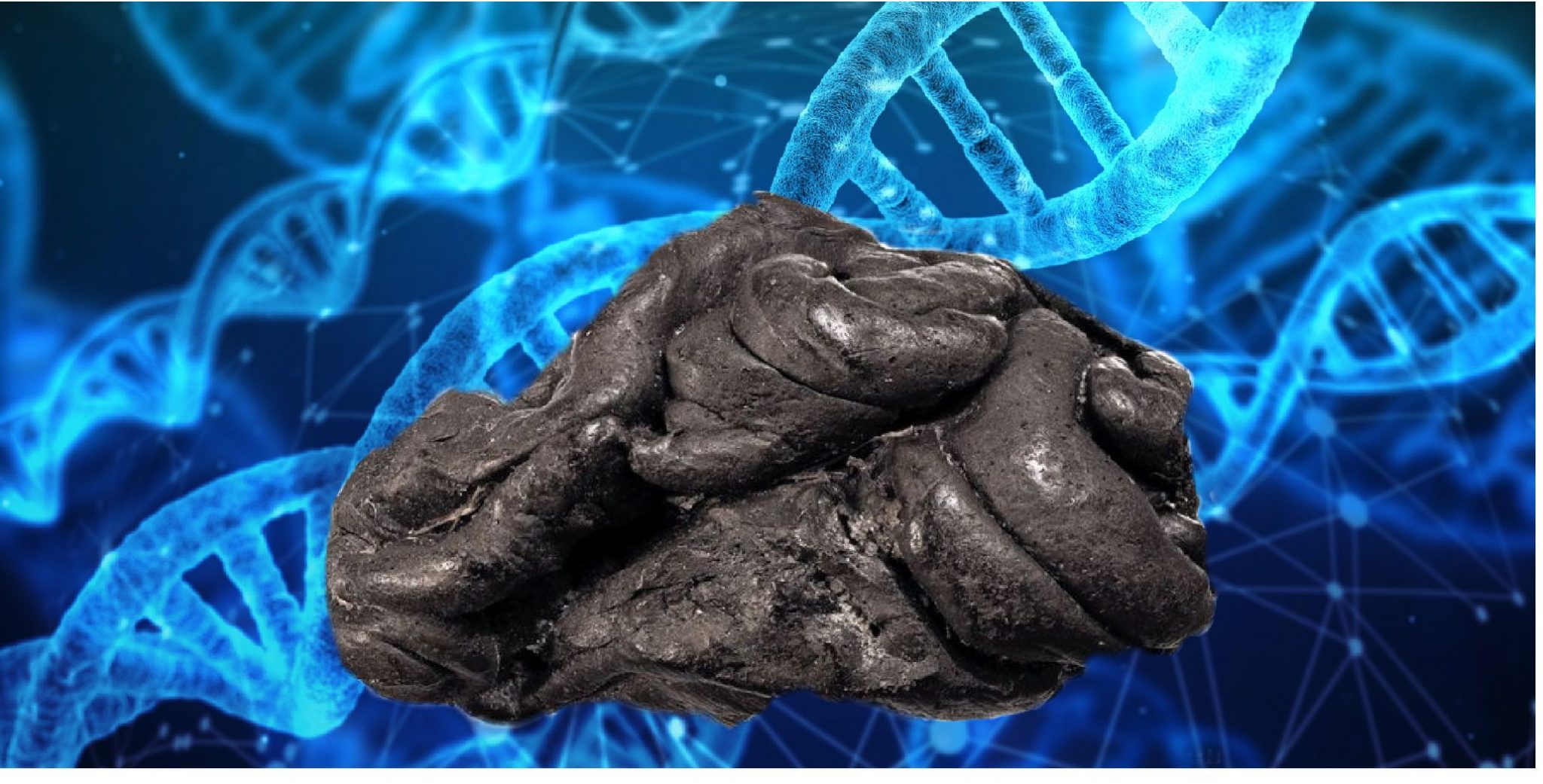 Ancient Wad of 'Chewing Gum' Yields Complete Genome of Stone Age Girl