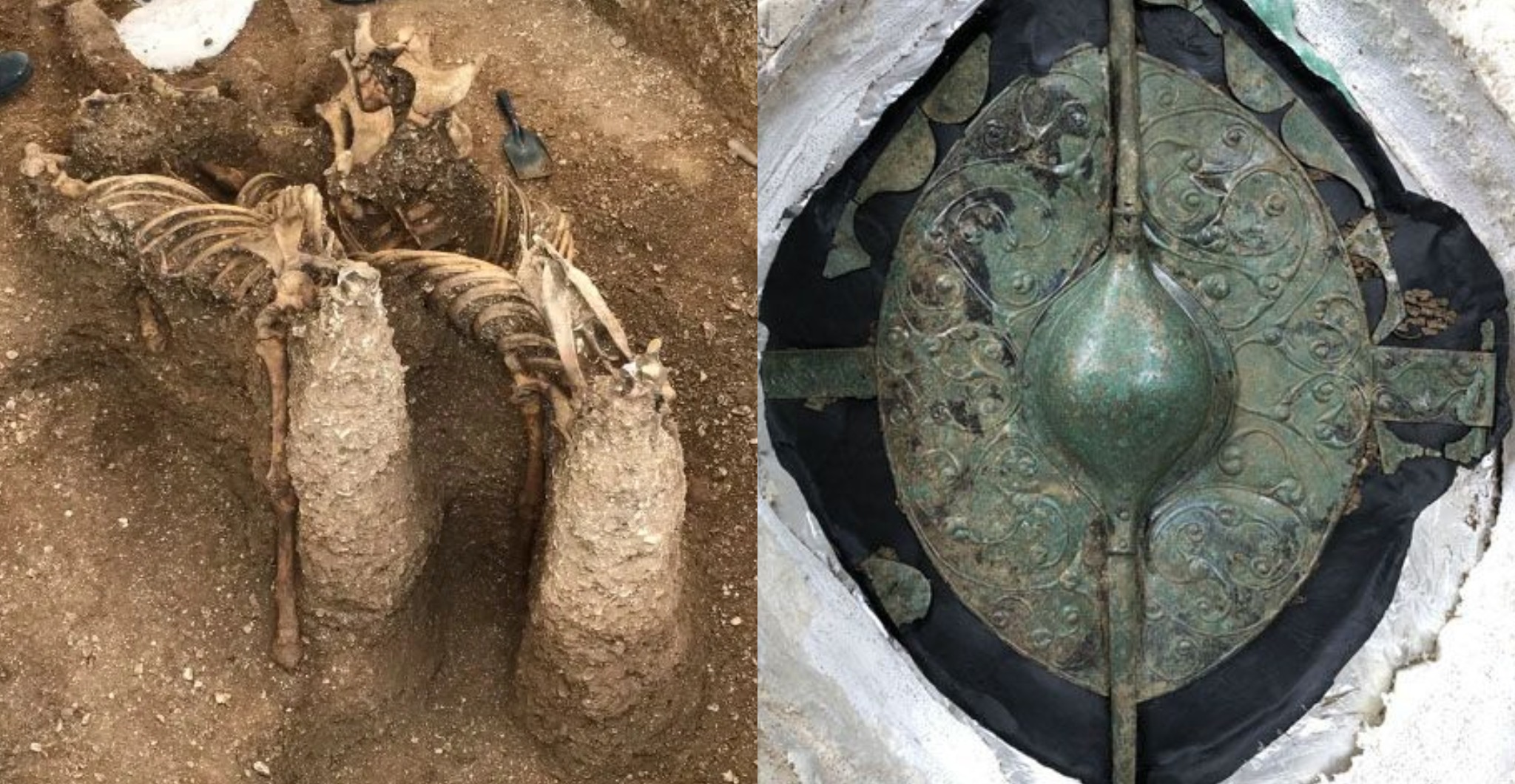 Epic Iron Age Burial Found - Shield, Chariot and Horses in Leaping Pose