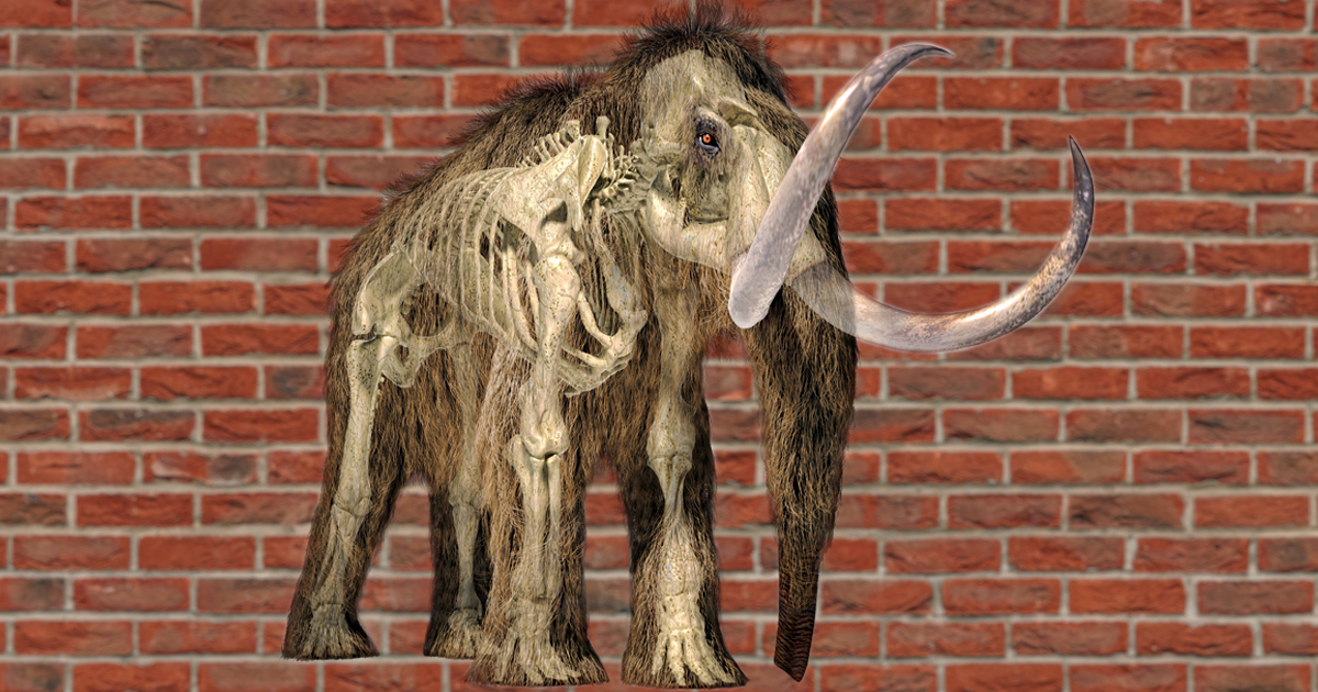 Huge 25,000-yr-old Structure Found Made Entirely from Mammoth Bones
