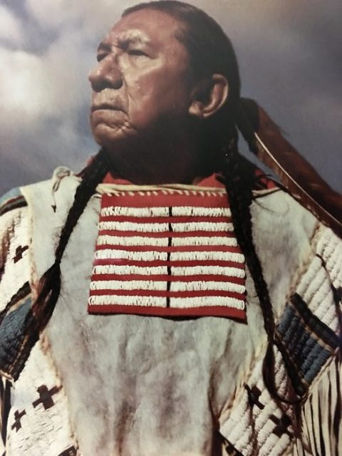 Living Descendent of Sitting Bull Identified Using DNA - The Vintage News