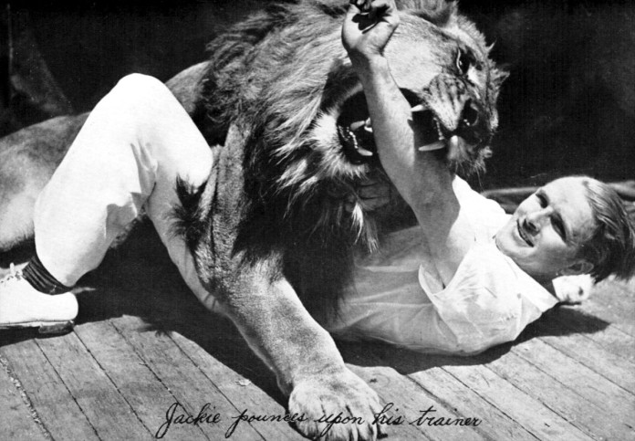 The Facts and Fictions: Did MGM "Leo" The Lion Really Killed its ...