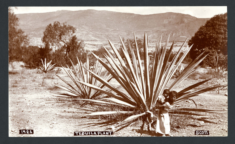 Beautiful vintage photos show everyday life in Mexico from 1890 -1910 ...