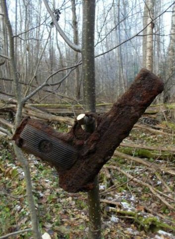Battlefield relics of the Eastern Front are still being found... | The ...