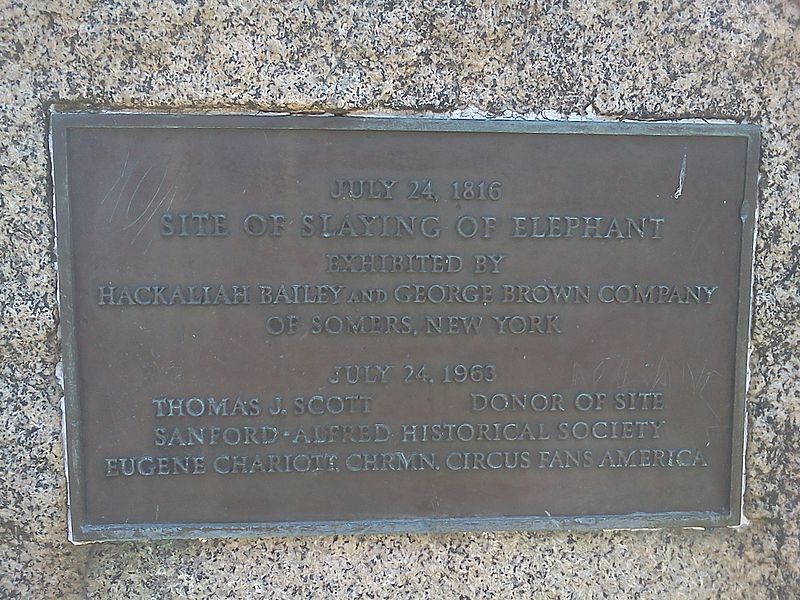 Old Bet: The first circus elephant brought to the US was killed by a ...