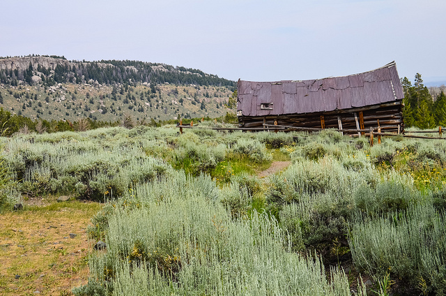The remains of the abandoned Miner’s Delight still stand as a reminder ...