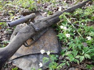 Incredible amount of WWII battlefield relics still being found on the ...
