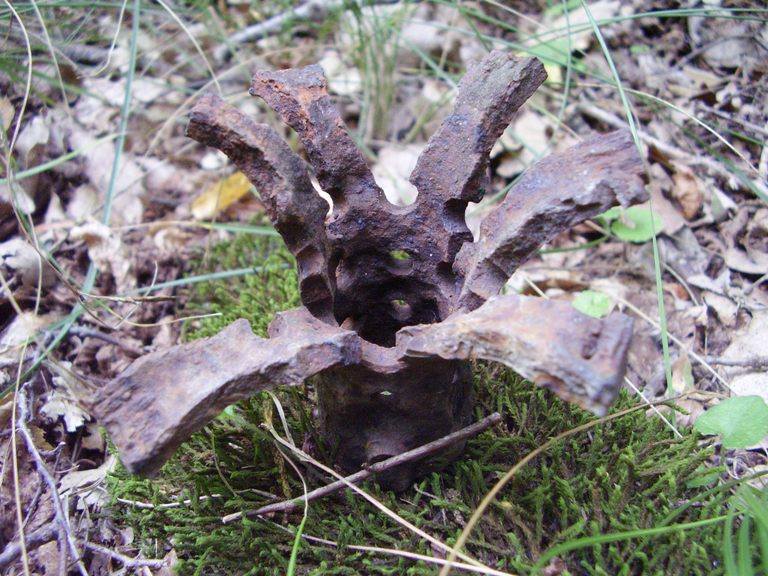 Incredible amount of WWII battlefield relics still being found on the ...