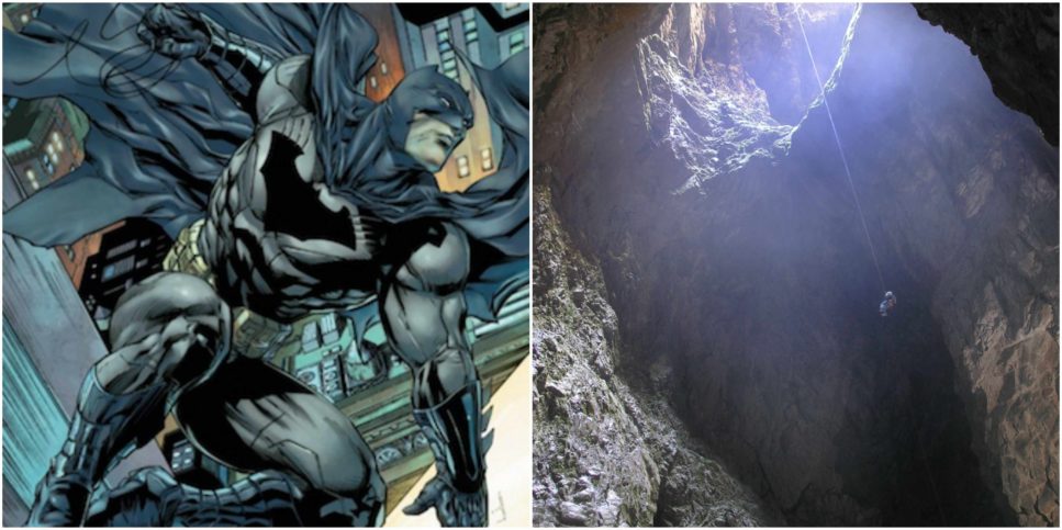 Huge bat lived in New Zealand’s ancient rain forest around 16 million ...