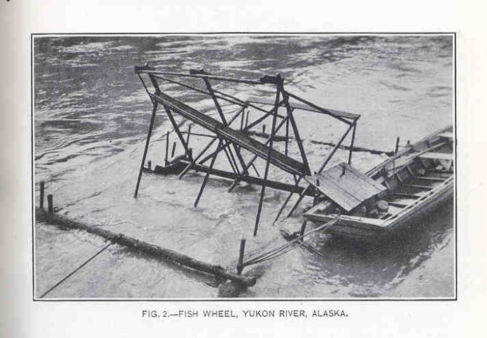 Fish Wheels: They were so effective and therefore banned in the United ...
