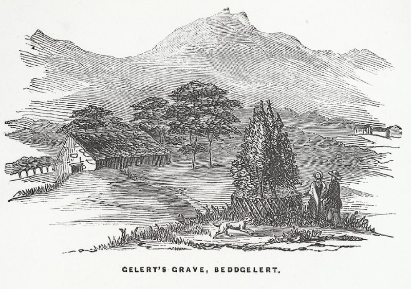 The legend of Gelert, the faithful hound of Llywelyn the Great | The ...