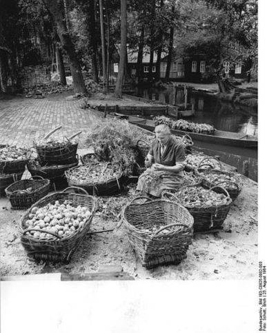 Onions were so important in the Middle Ages, that people would pay ...