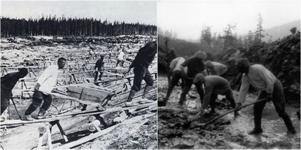 The Gulag system of the Soviet Union was so harsh that one prisoner cut ...