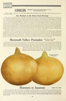 Onions were so important in the Middle Ages, that people would pay ...