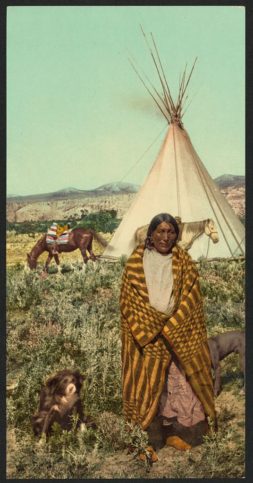 Stunning portraits of chiefs and members of the Crow tribe | The ...