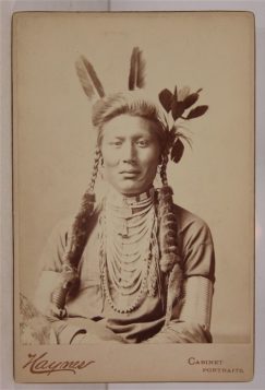 Stunning portraits of chiefs and members of the Crow tribe | The ...