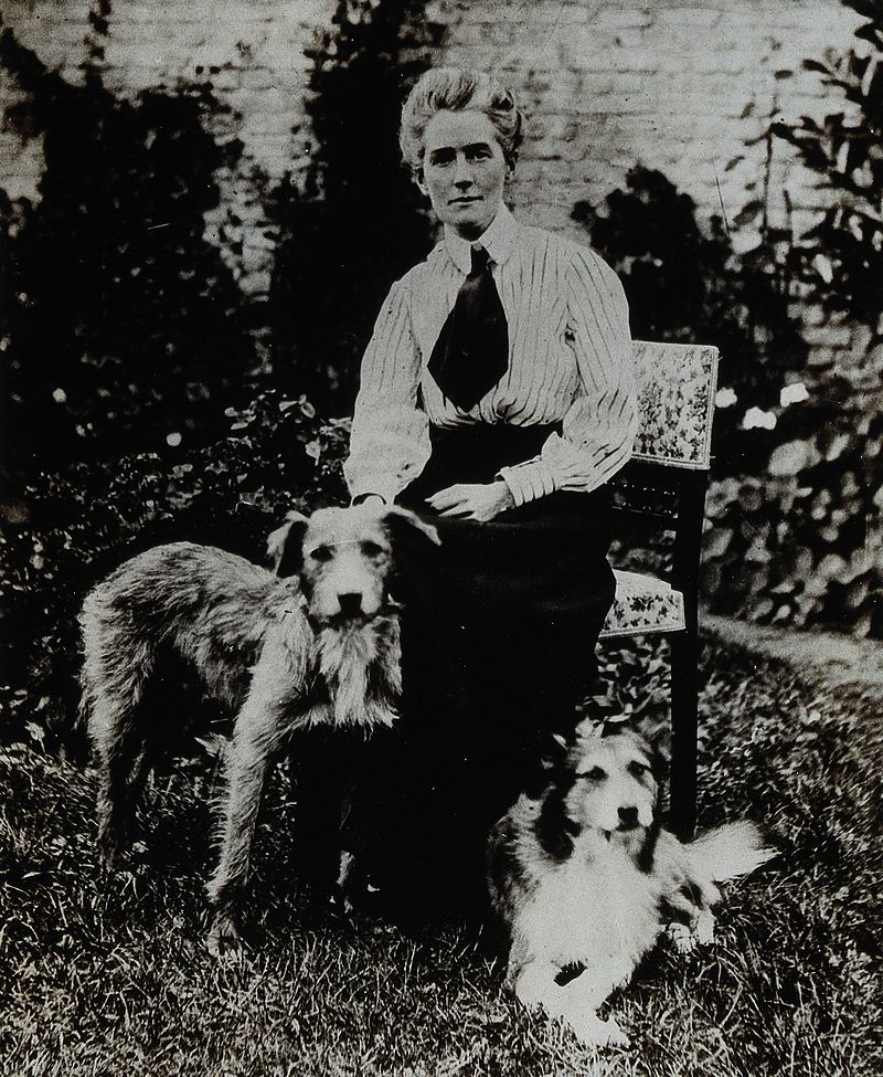 Edith Cavell was a British nurse who was executed in WWI by the Germans ...
