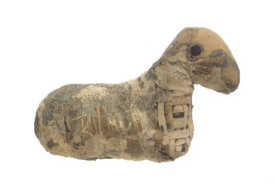 Egyptians mummified all sorts of animals intended as sacred offerings ...