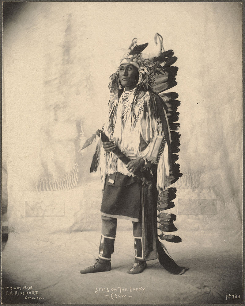 Stunning portraits of chiefs and members of the Crow tribe | The ...