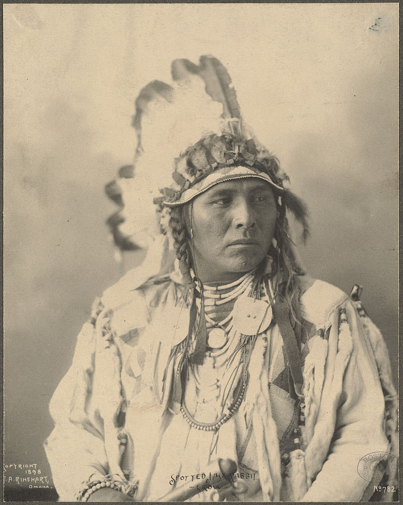 Stunning portraits of chiefs and members of the Crow tribe | The ...