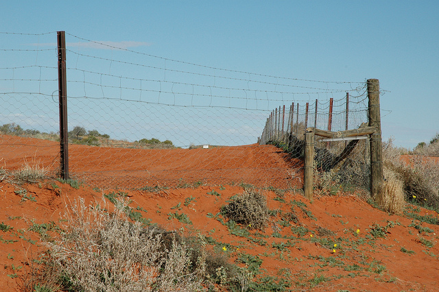 The Dingo Fence in Australia: The longest fence, and one of the longest ...