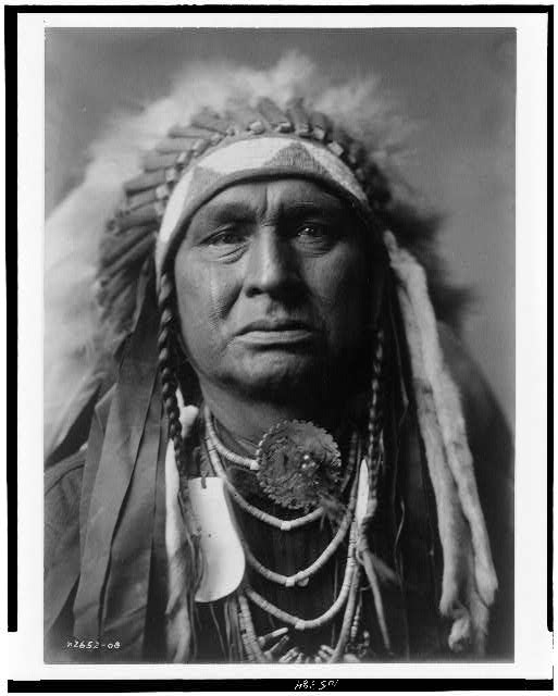 Stunning portraits of chiefs and members of the Crow tribe | The ...