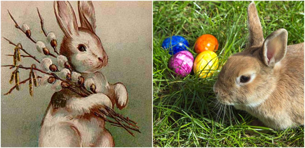 The origins of the Easter Bunny and Easter eggs | The Vintage News