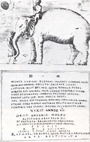 OK. Pope Leo X buried his pet elephant under the Vatican | The Vintage News