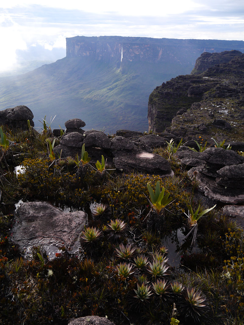Mount Roraima is one of the oldest formations on Earth dating back to ...