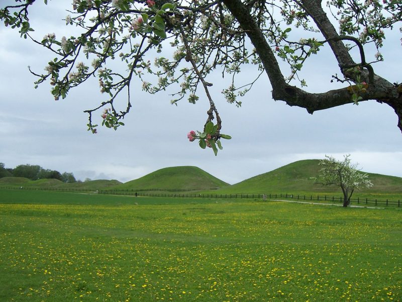 Gamla Uppsala: One of the most important religious locations in Sweden ...