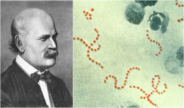 The sad destiny of Ignaz Semmelweis - "The savior of mothers" | The ...