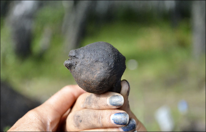 Shake, rattle, and roll: Bronze age rattle found in Siberia | The ...
