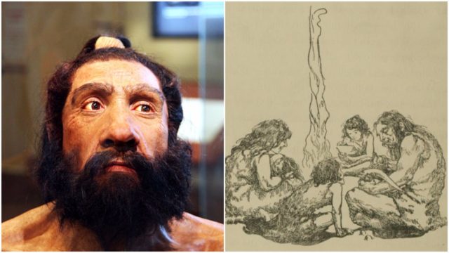 Researchers find genetic proof of interbreeding between Neanderthals ...