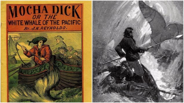 Herman Melville’s inspiration for the novel Moby-Dick was a real ...
