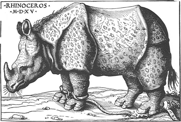 The Rhinoceros Party of Canada: the party that promised to keep none of ...