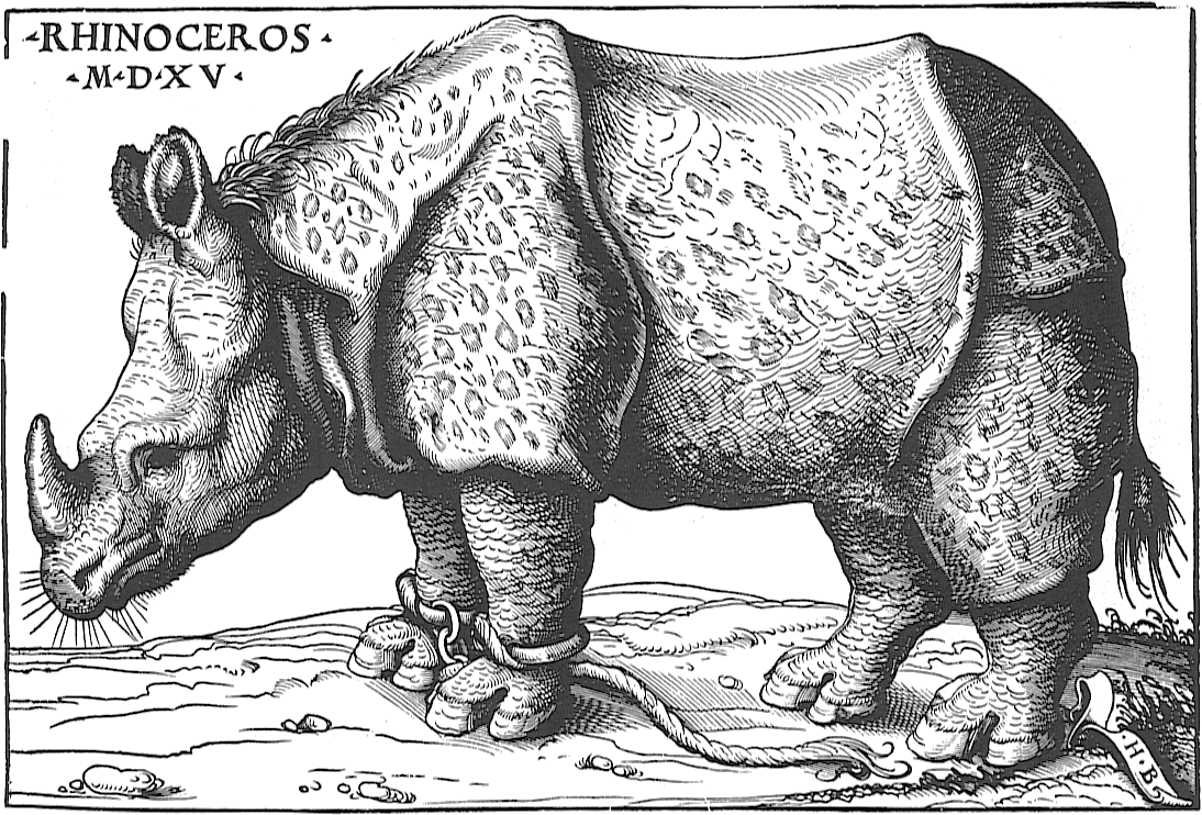 The Rhinoceros Party of Canada: the party that promised to keep none of ...