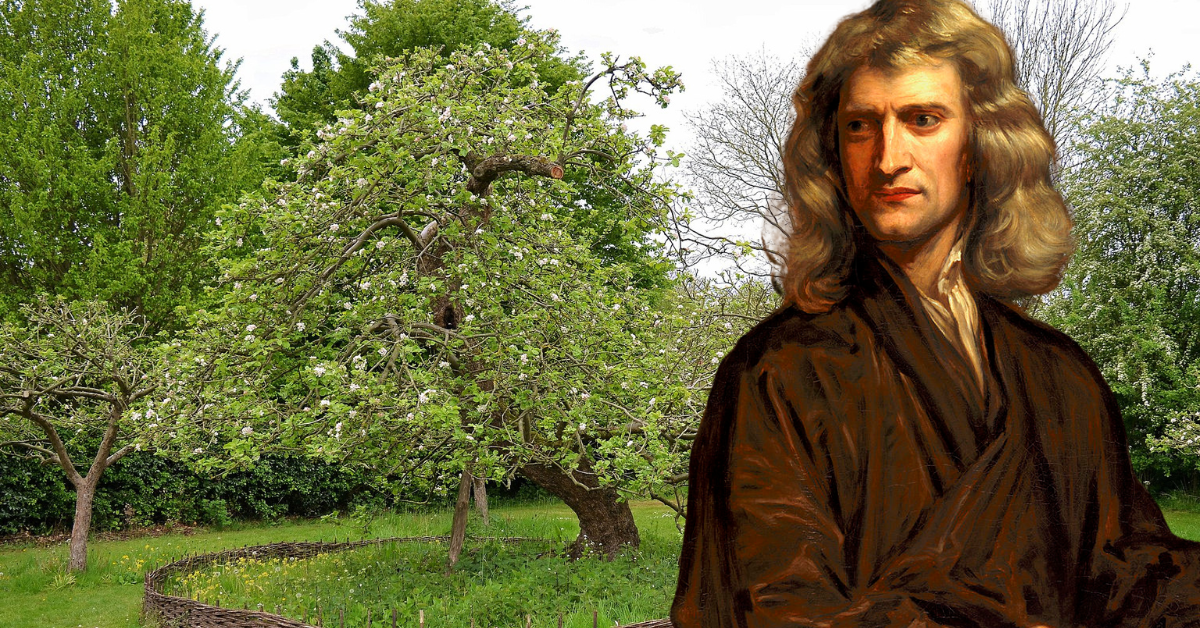 Isaac Newton Apple