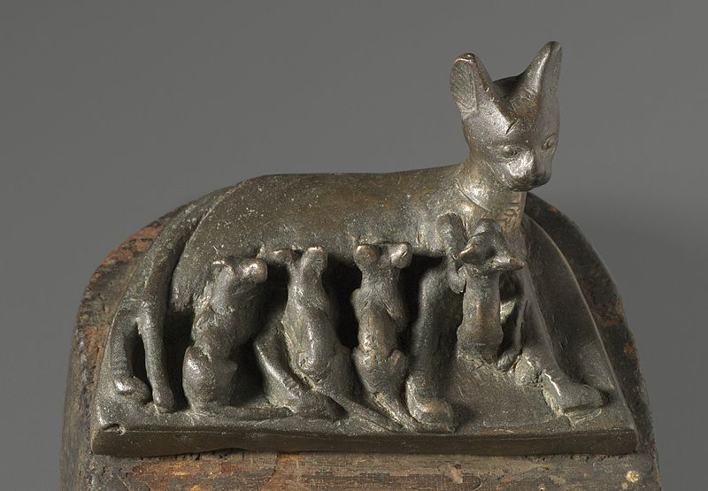 Mummified cat used as an offering to ancient Egyptian gods | The ...