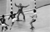 Handball is one of the oldest known games played with a ball; versions ...