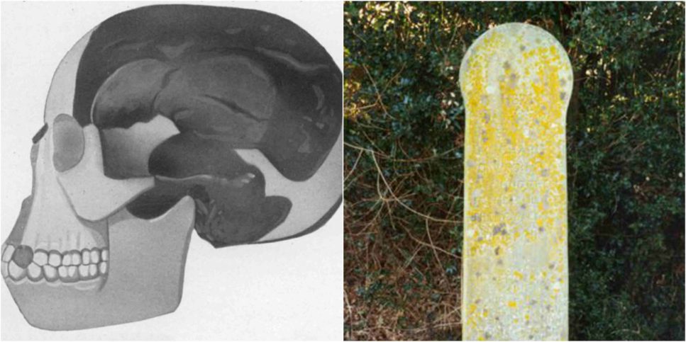 The Piltdown Man: a notorious archaeological hoax that fooled the ...