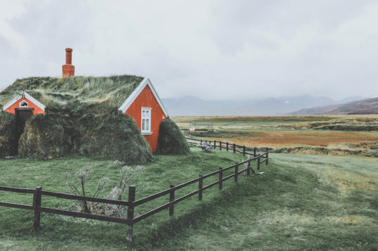 One of Iceland's last turf houses still has a summer resident | The ...