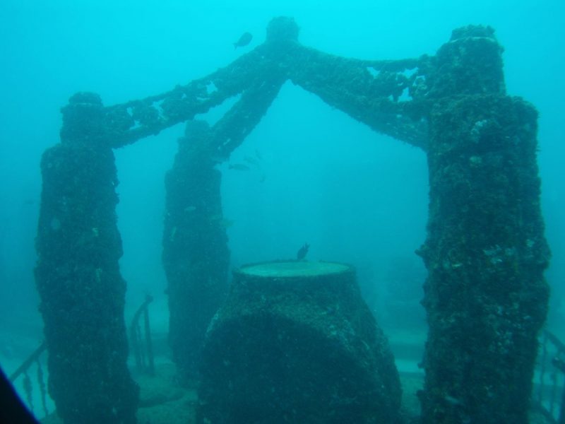 Neptune Memorial Reef - an underwater columbarium considered as the ...