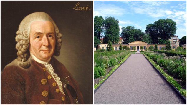 Carl Linnaeus wanted to create the “flower clock,” a garden that would ...
