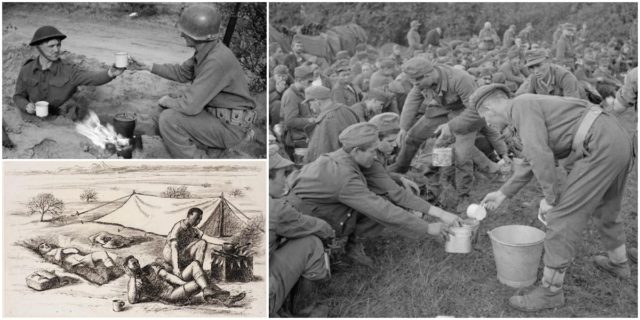 During WWII, the British Government bought the world's entire supply of ...