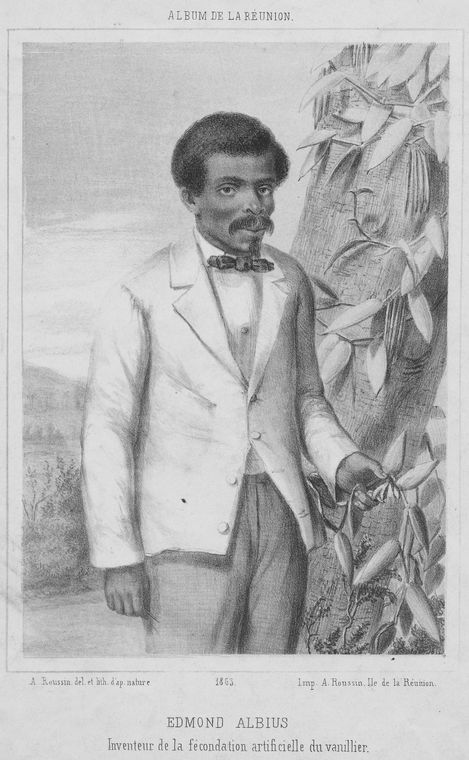 A pollination technique invented by a 12-year-old slave on the island ...