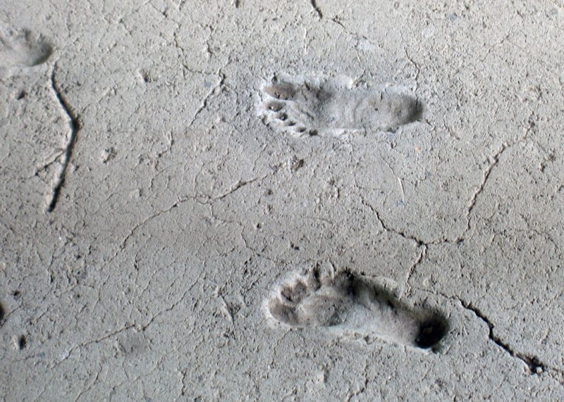 The strangest theft of the year: The fossil footprints of early humans ...